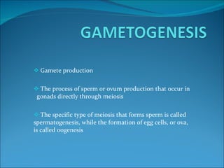 Gametogenesis | PPT