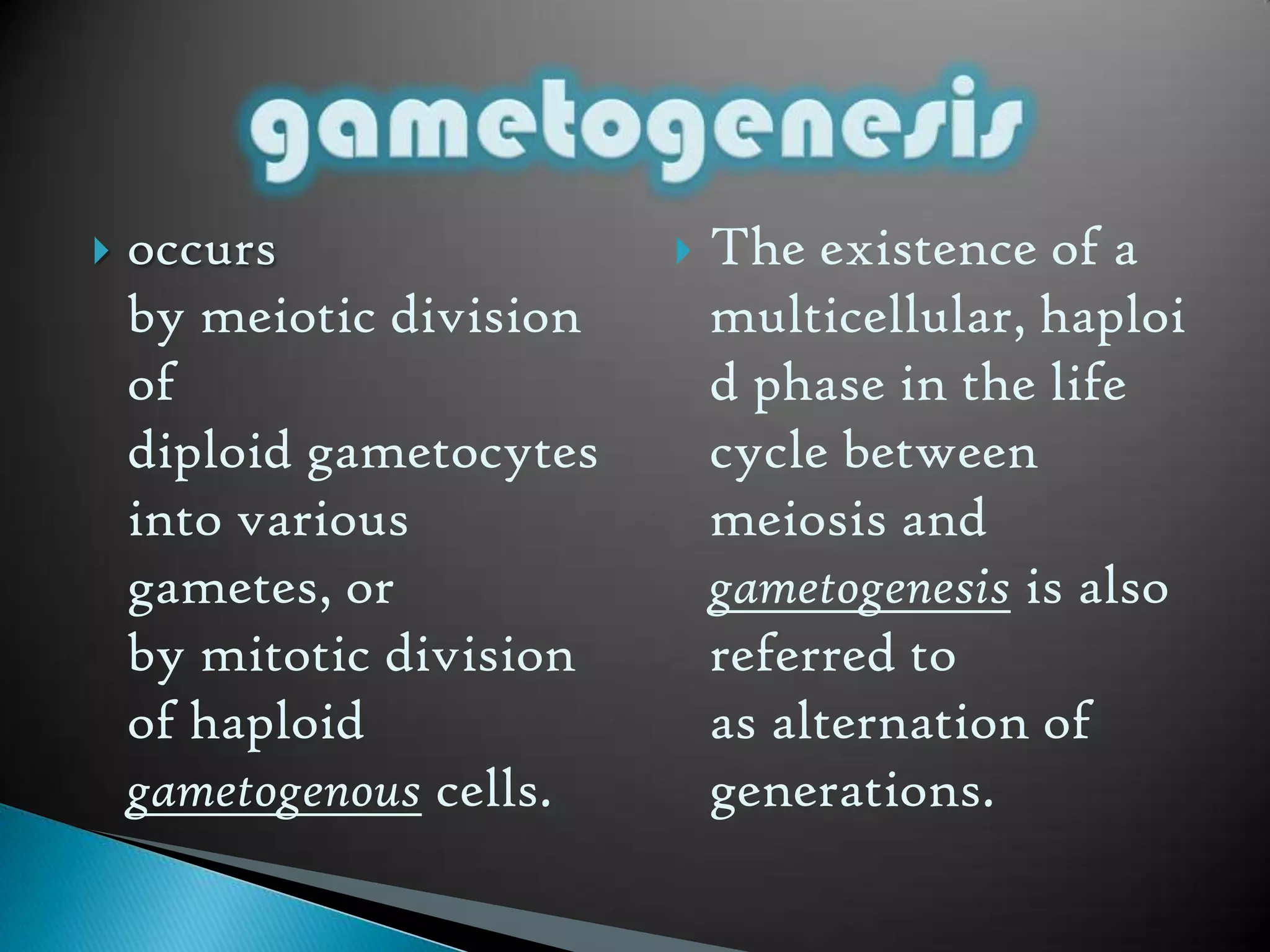 Gametogenesis | PPTX