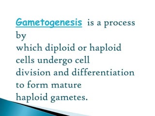Gametogenesis | PPTX