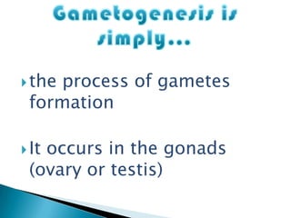Gametogenesis | PPTX