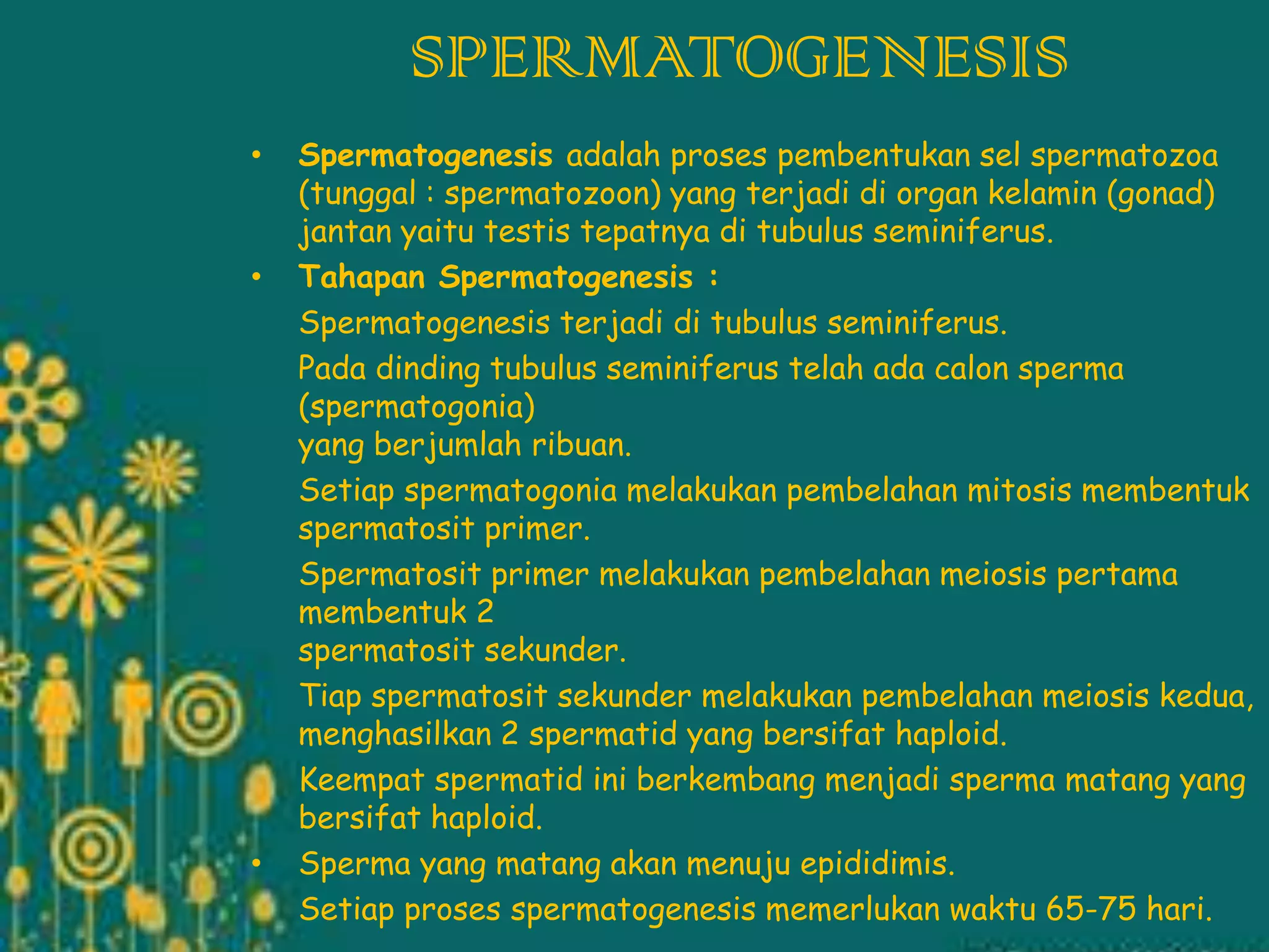 Gametogenesis (Biologi IX SMP) | PPTX