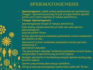 Gametogenesis (Biologi IX SMP) | PPTX