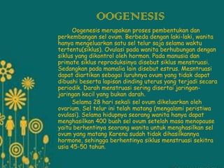 Gametogenesis (Biologi IX SMP) | PPTX