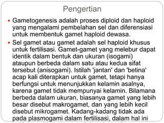 Gametogenesis by Azz@zins | PPTX