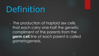 Gametogenesis Definition