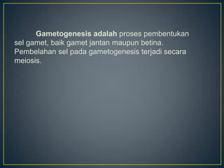 Gametogenesis | PPTX