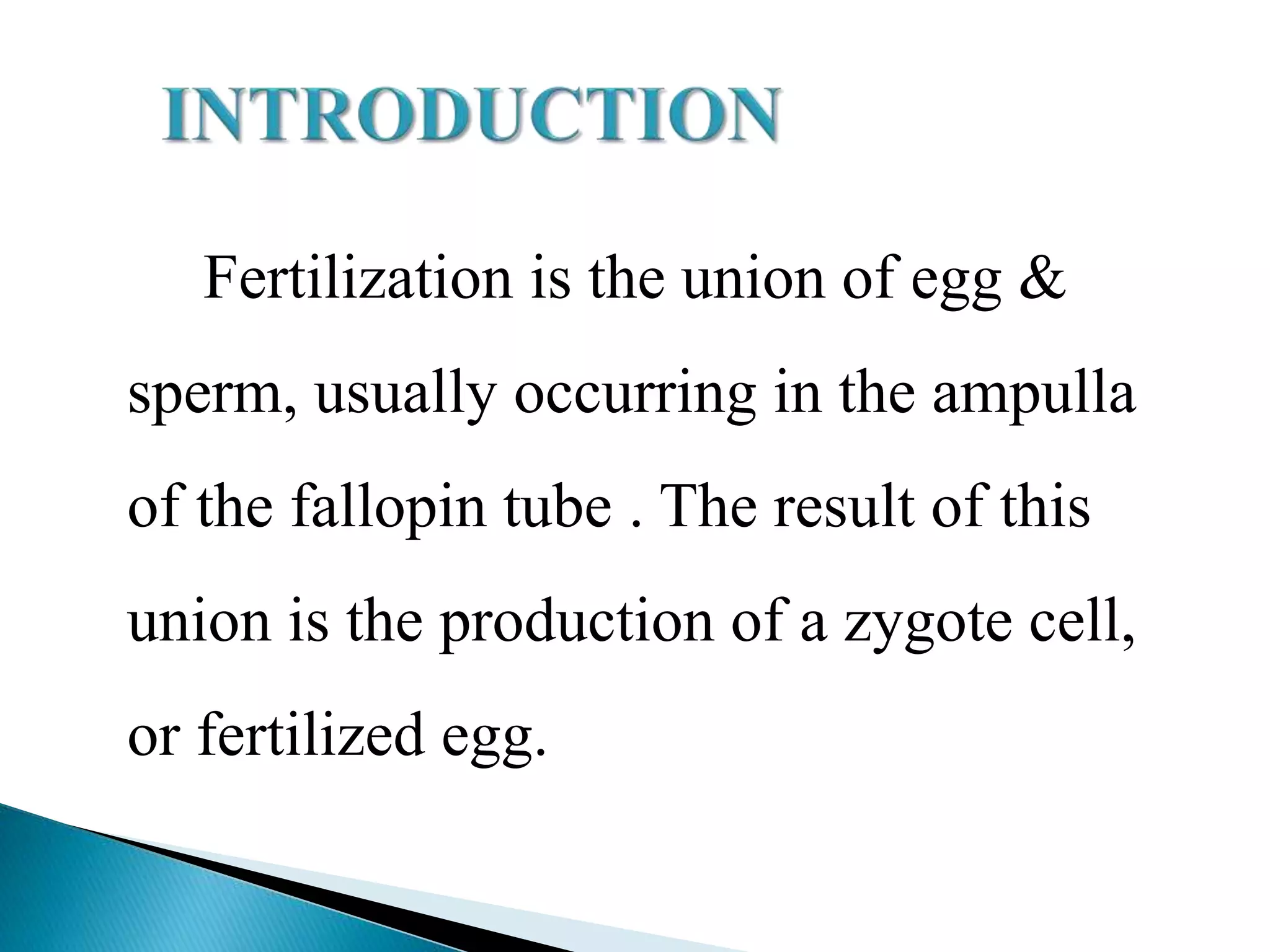 Gametogenesis | PPTX