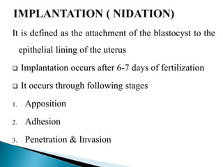 Gametogenesis | PPTX