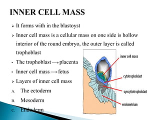 Gametogenesis | PPTX