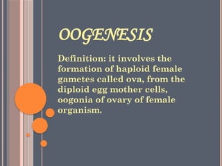 gametogenesis, spermatogenesis and oogenesis | PPT