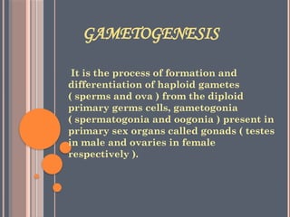 gametogenesis, spermatogenesis and oogenesis | PPT