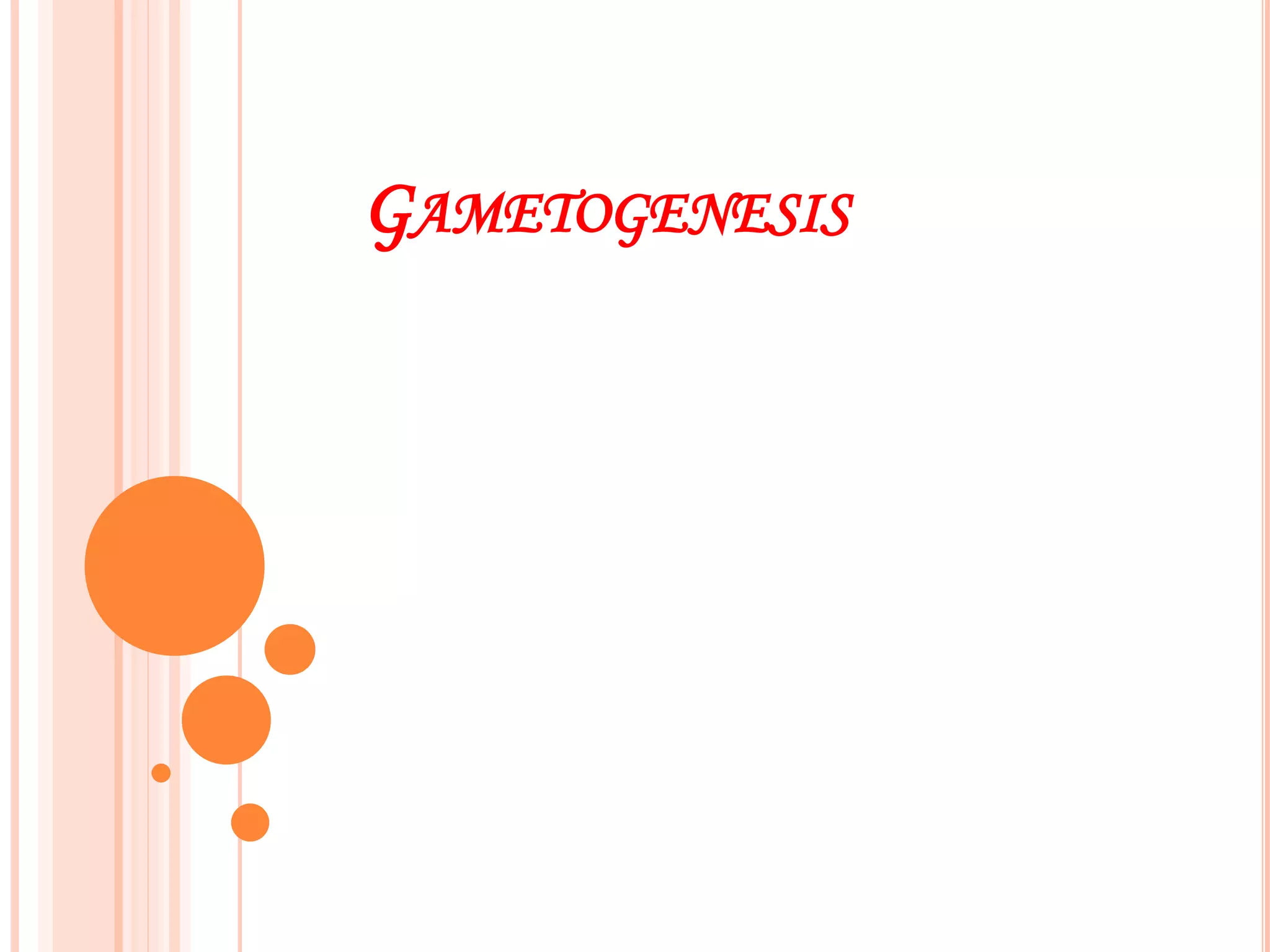 Gametogenesis | PPTX