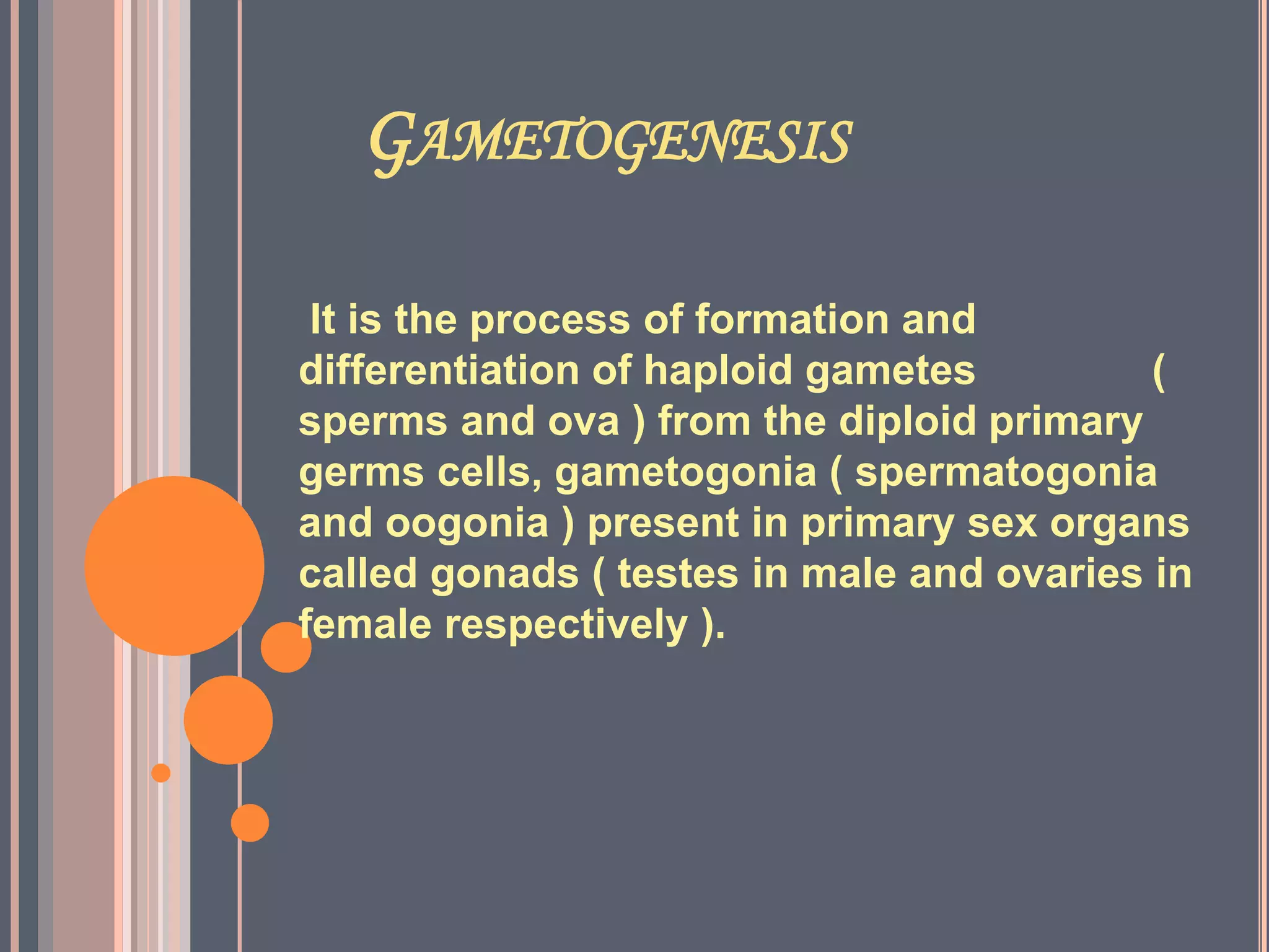 Gametogenesis | PPTX