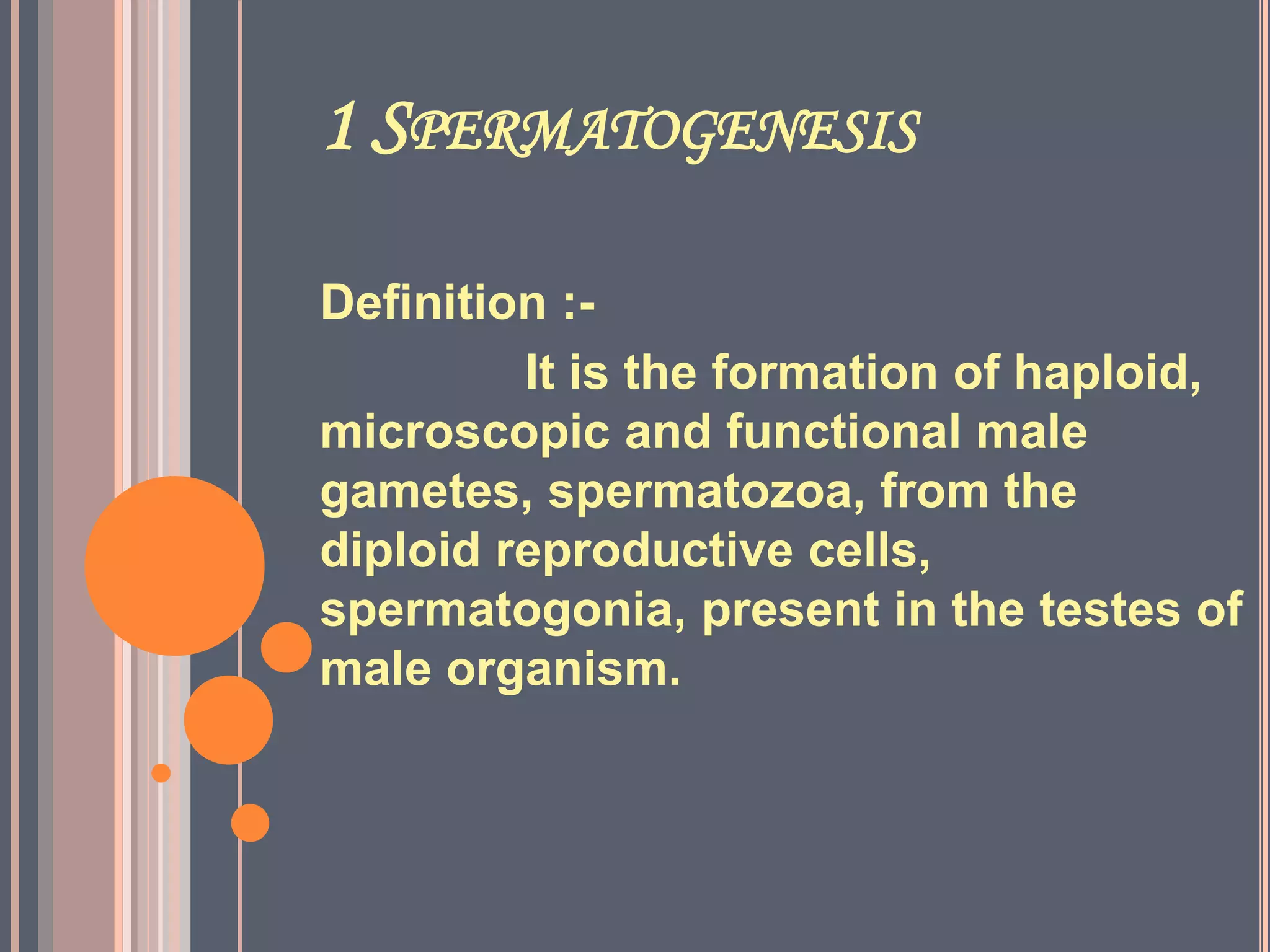 Gametogenesis | PPTX