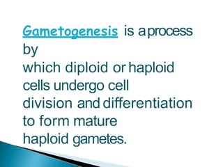 Gametogenesis | PPTX