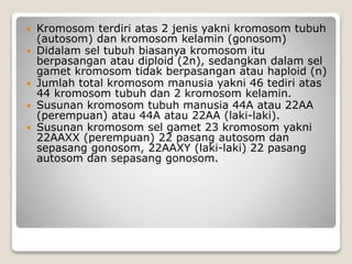 GAMETOGENESIS | PPTX