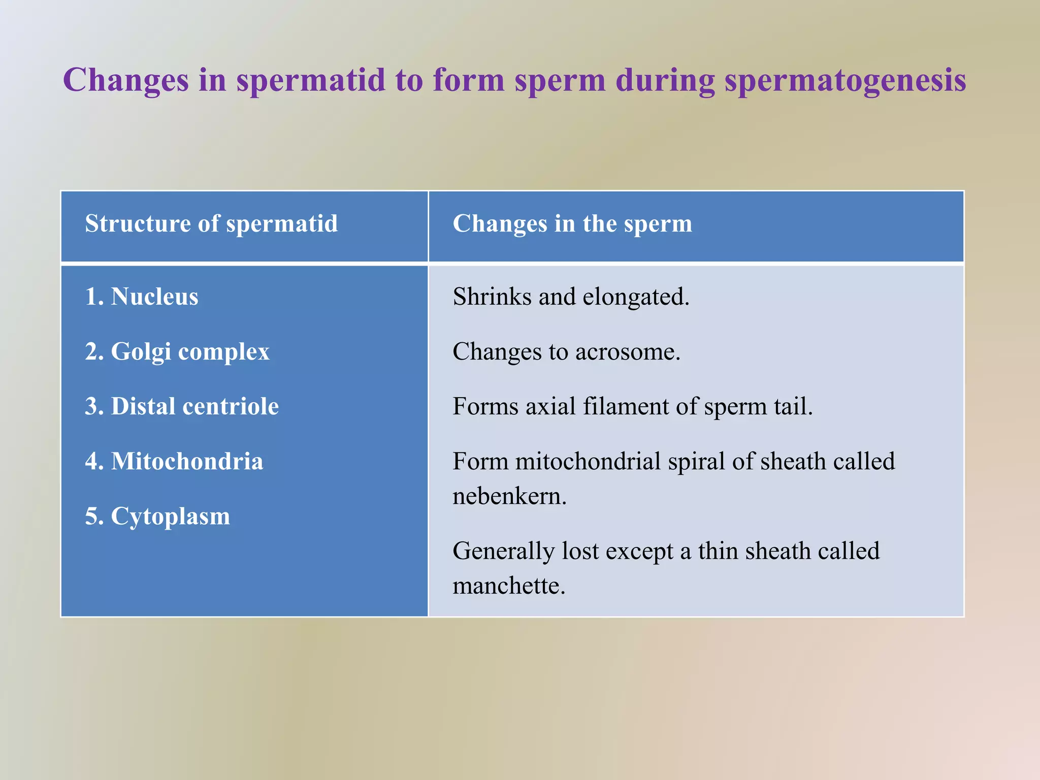 Gametogenesis, Types of gametogenesis, structure of sperm & ovum and regulation ,compare ...