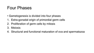 GAMETOGENESIS.pptx