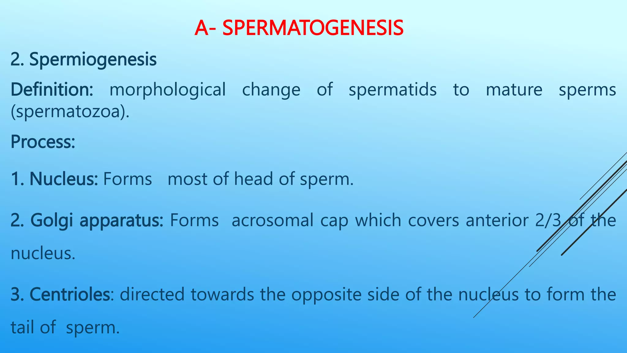 Gametogenesis.pptx | Infertility | Reproductive Health