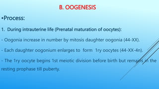 Gametogenesis.pptx | Infertility | Reproductive Health