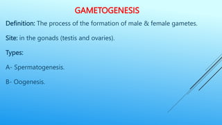 Gametogenesis.pptx | Infertility | Reproductive Health