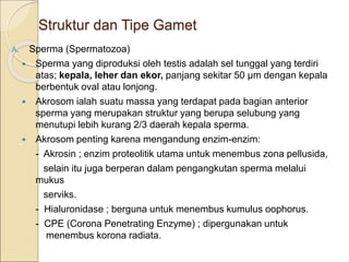 GAMETOGENESIS.ppt