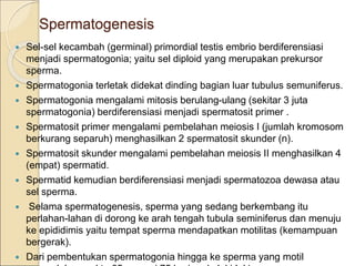 GAMETOGENESIS.ppt