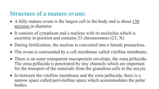 Embryonic development and Gametogenesis.pptx