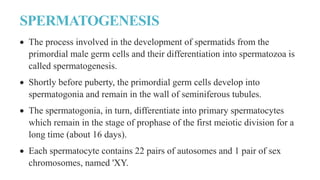 Embryonic development and Gametogenesis.pptx
