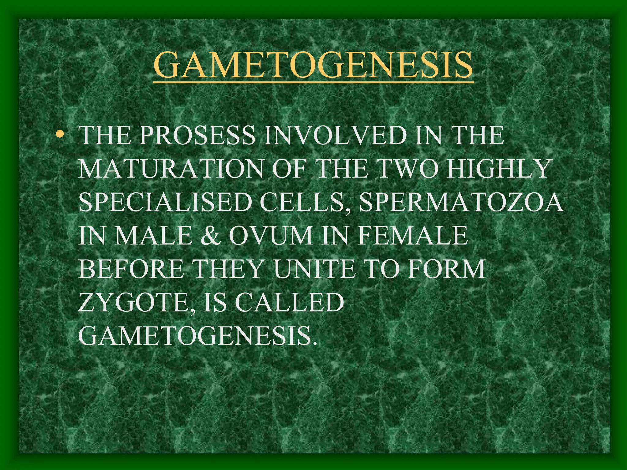 GAMETOGENESIS in functions of reproductive system | PPT