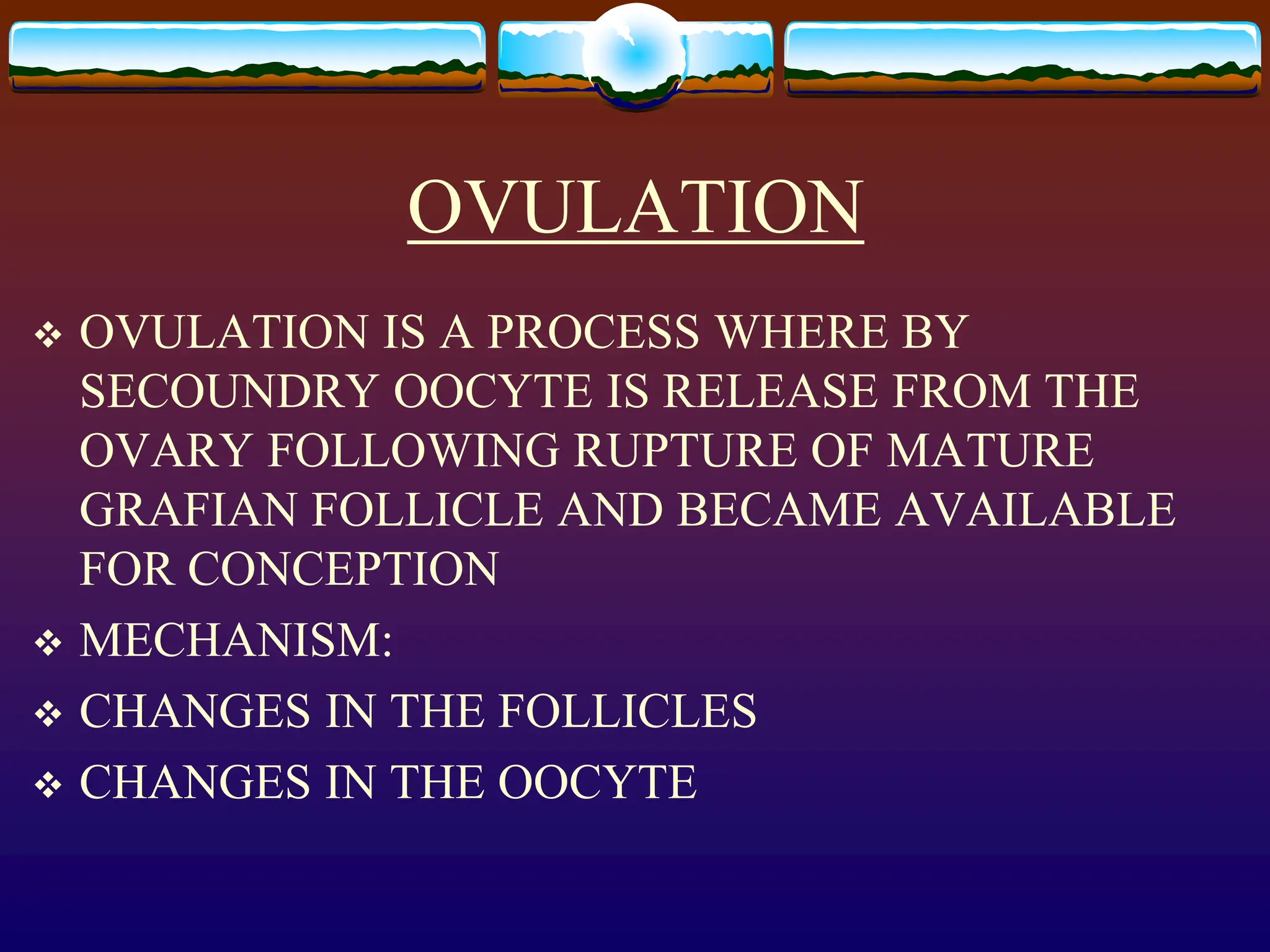 GAMETOGENESIS in functions of reproductive system | PPT