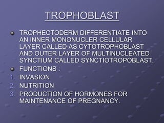 GAMETOGENESIS in functions of reproductive system | PPT