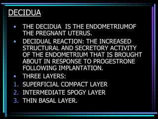 GAMETOGENESIS in functions of reproductive system | PPT