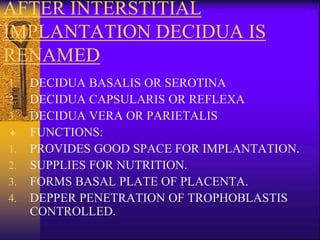 GAMETOGENESIS in functions of reproductive system | PPT
