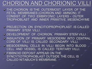 GAMETOGENESIS in functions of reproductive system | PPT
