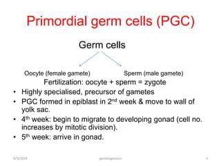 gametogenesis - general embryology presentation | PPTX