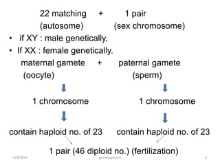 gametogenesis - general embryology presentation | PPTX