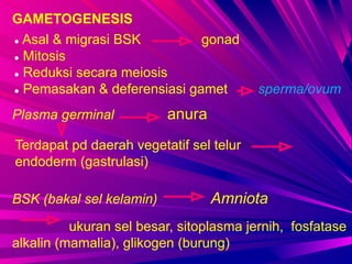 GAMETOGENESIS dan proses terbentuknya sel gonad.ppt.pdf