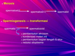 GAMETOGENESIS dan proses terbentuknya sel gonad.ppt.pdf