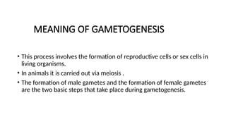 GAMETOGENESIS (formation of gamets).pptx