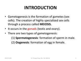 Gametogenesis 2nd.pdf