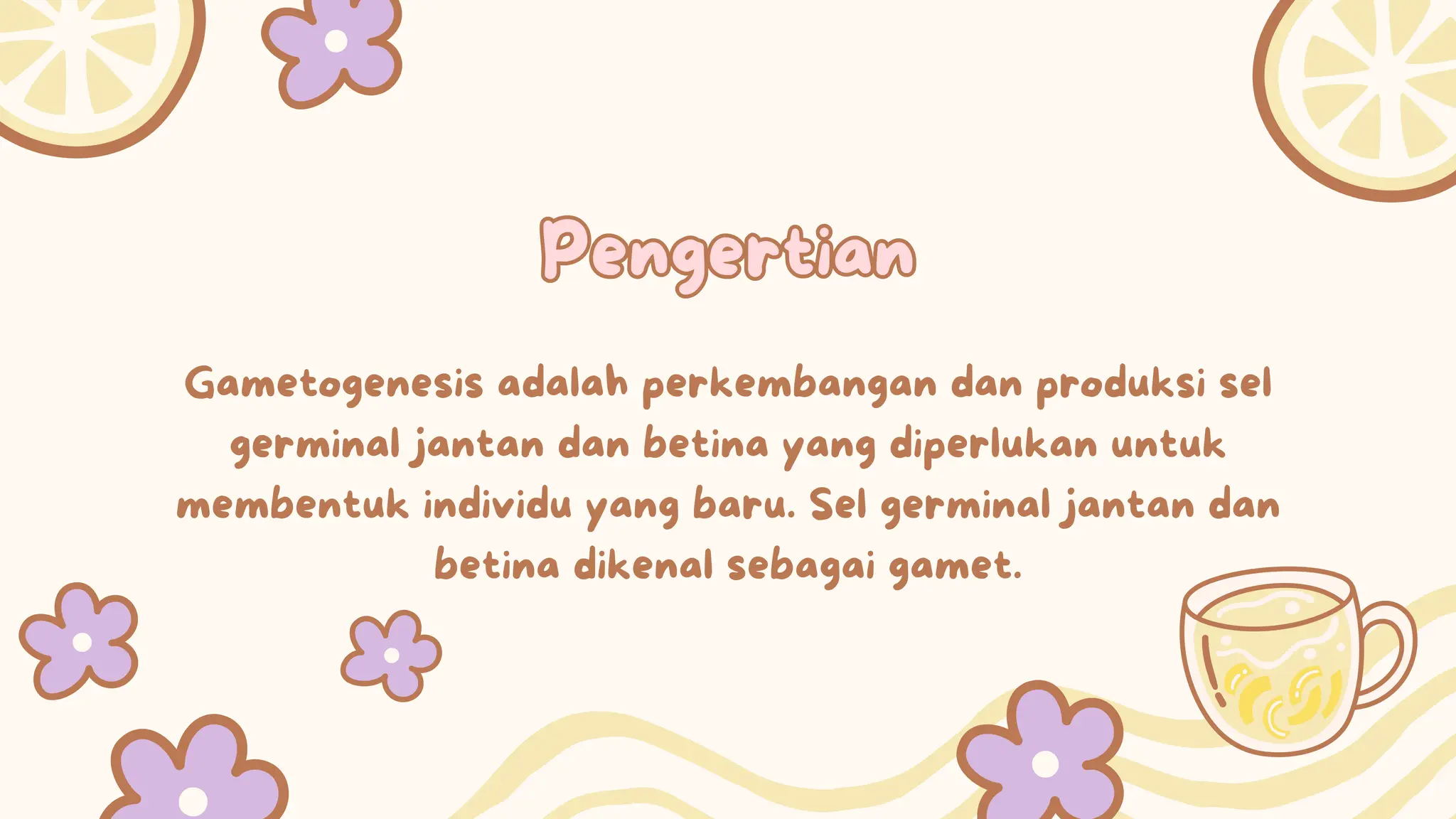Proses pembentukan Sel Kelamin pada manusia | PDF