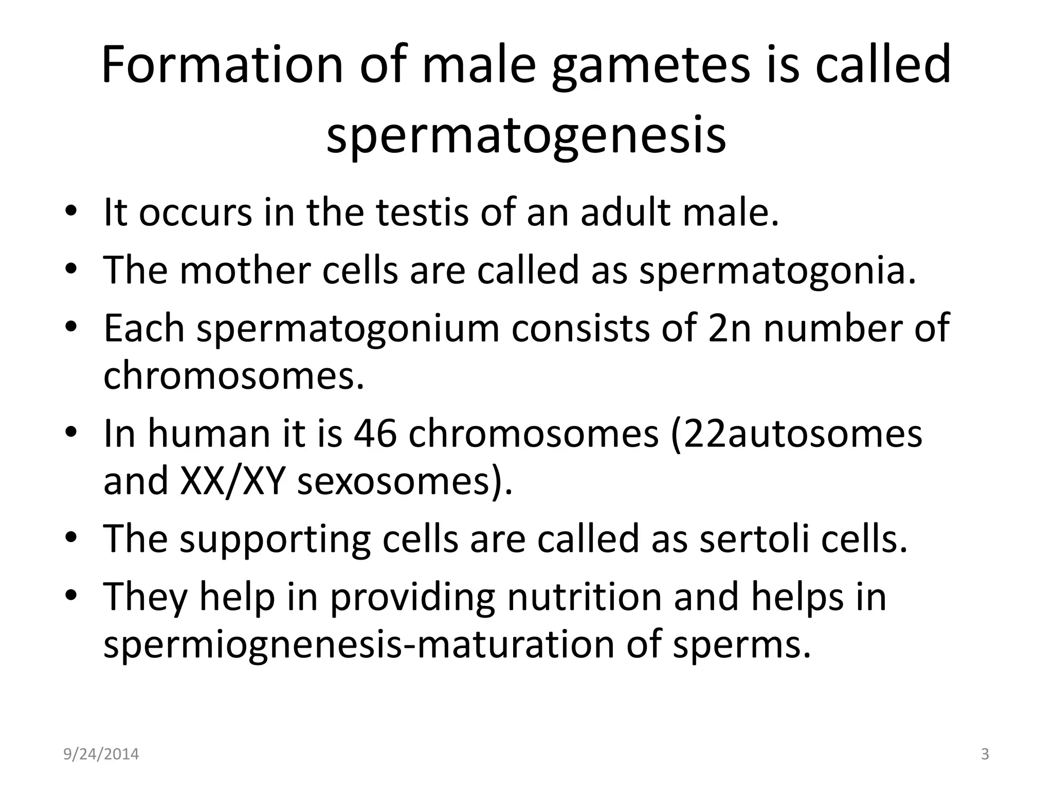 Gametogenesis and fertilization | PPTX