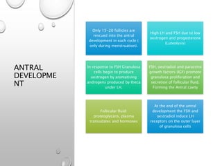 Gametogenesis and ovulation | PPT