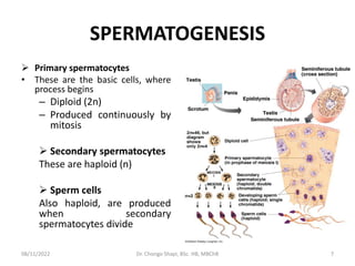Gametogenesis and Pre-ebryonic life by Shapi. MDpdf | PPT