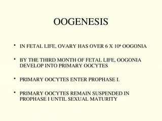 Gametogenesis AND zygote formation in human.ppt