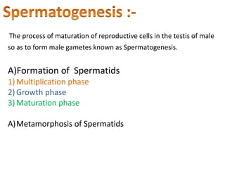 Gametogenesis by Dr. panakj W. Chaudhari | PPT