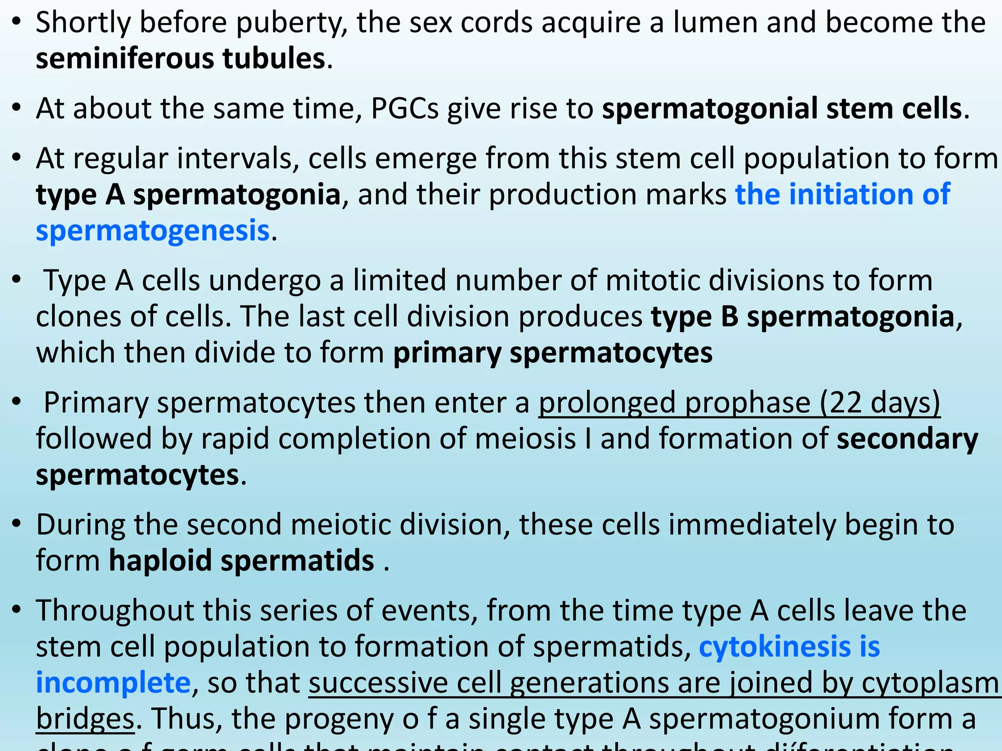 Gametogenesis conversion of germ cells into male and female gametes.ppt