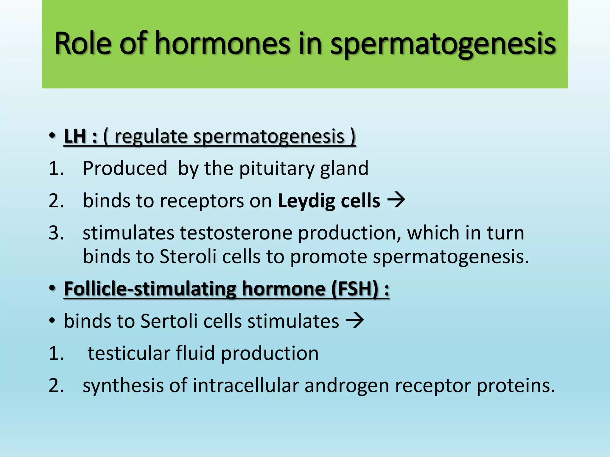 Gametogenesis conversion of germ cells into male and female gametes.ppt