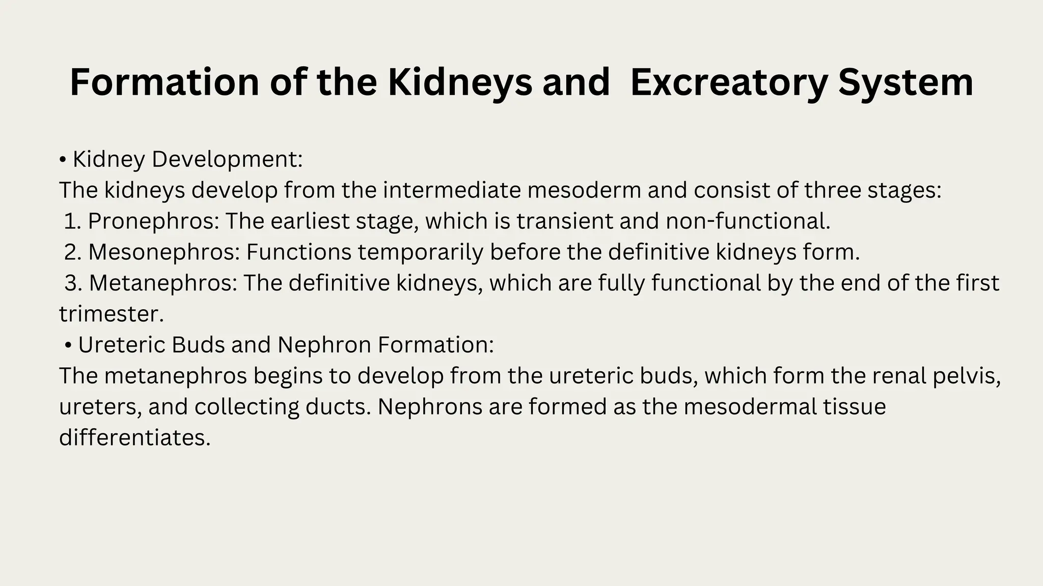 Gametogenesis , Fertilisation , Implantation and Early Development of ...